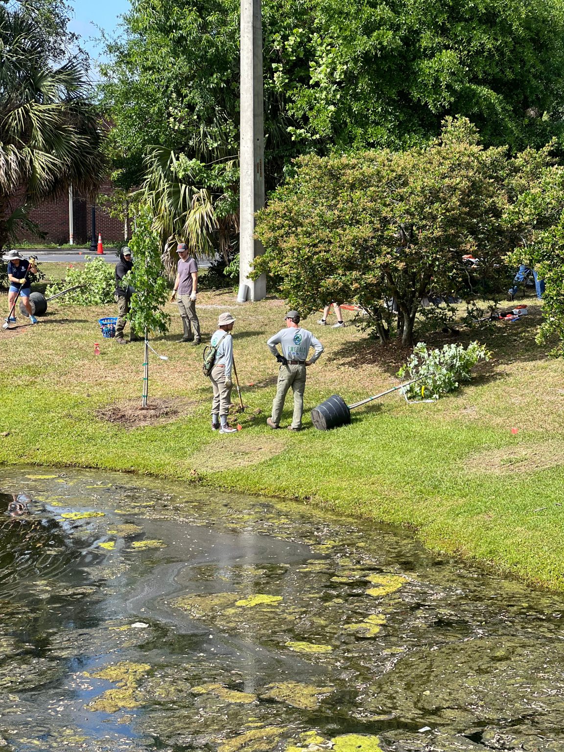 Emerald Trail Stewards - Groundwork Jacksonville